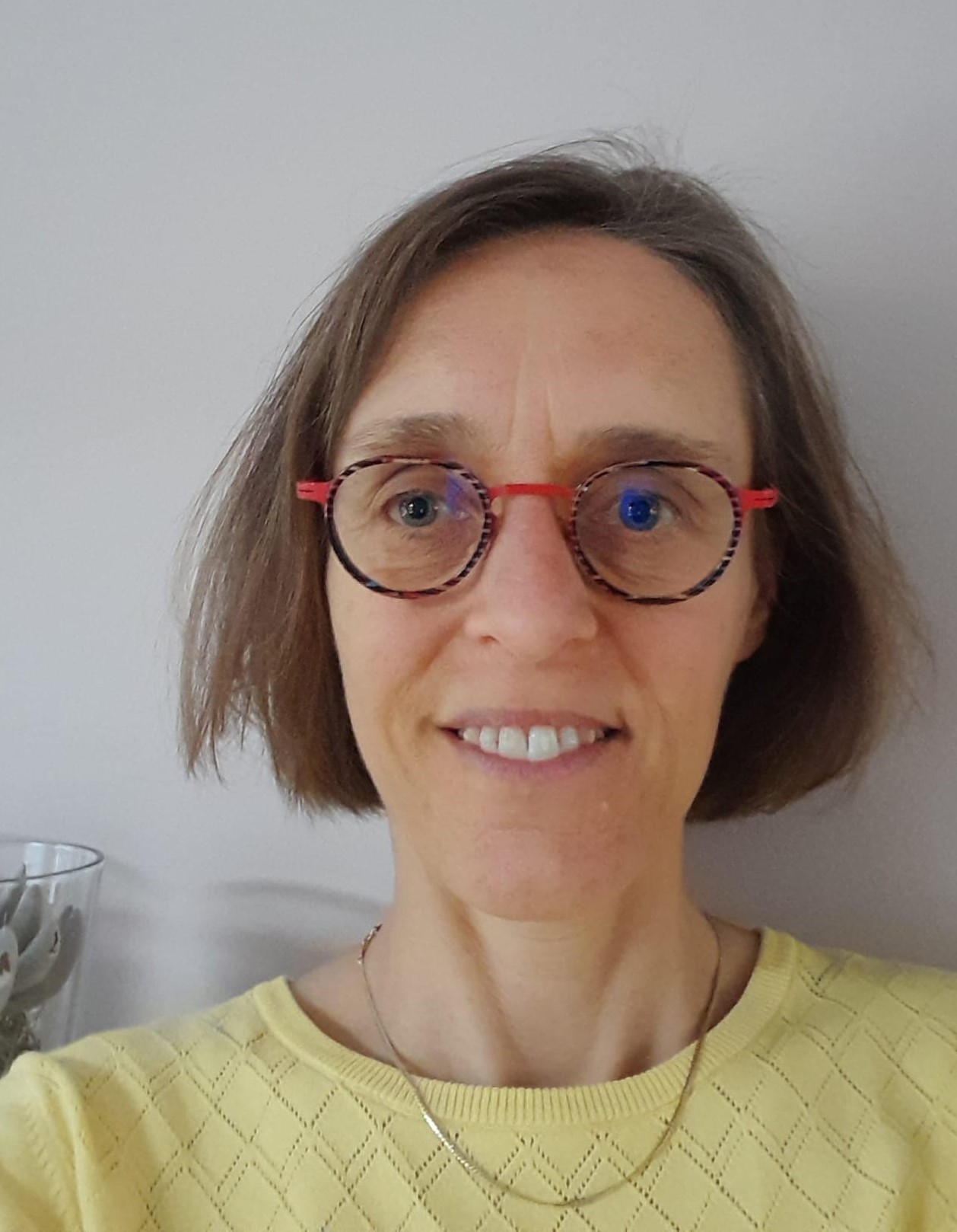 OZL IJsselgroep - Ziezon